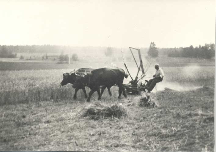 Gammalkils Hembygdsförening Gunn-Britt Gustavsson visar och berättar